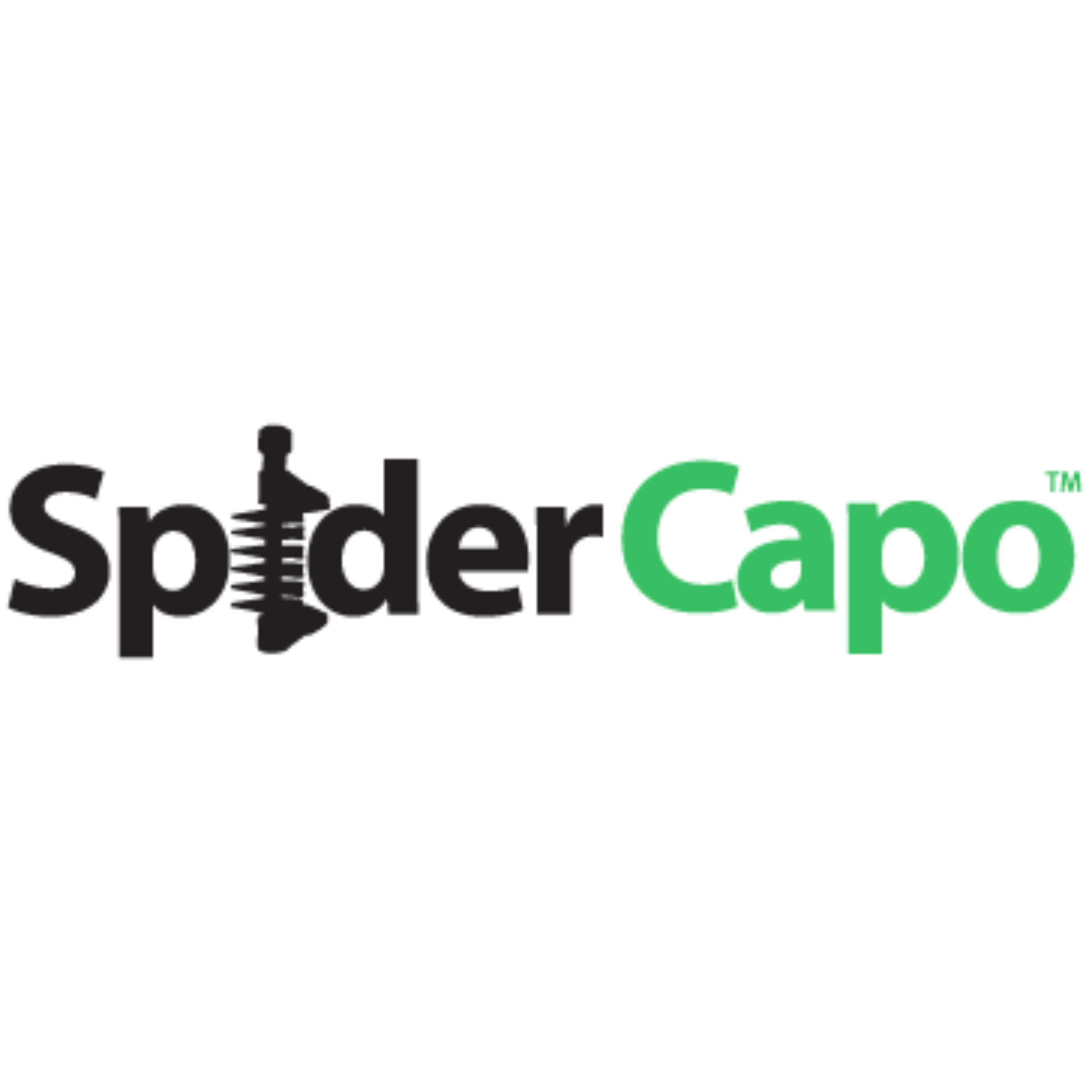 Spider Capo | Guitar Accessories | Moog Audio