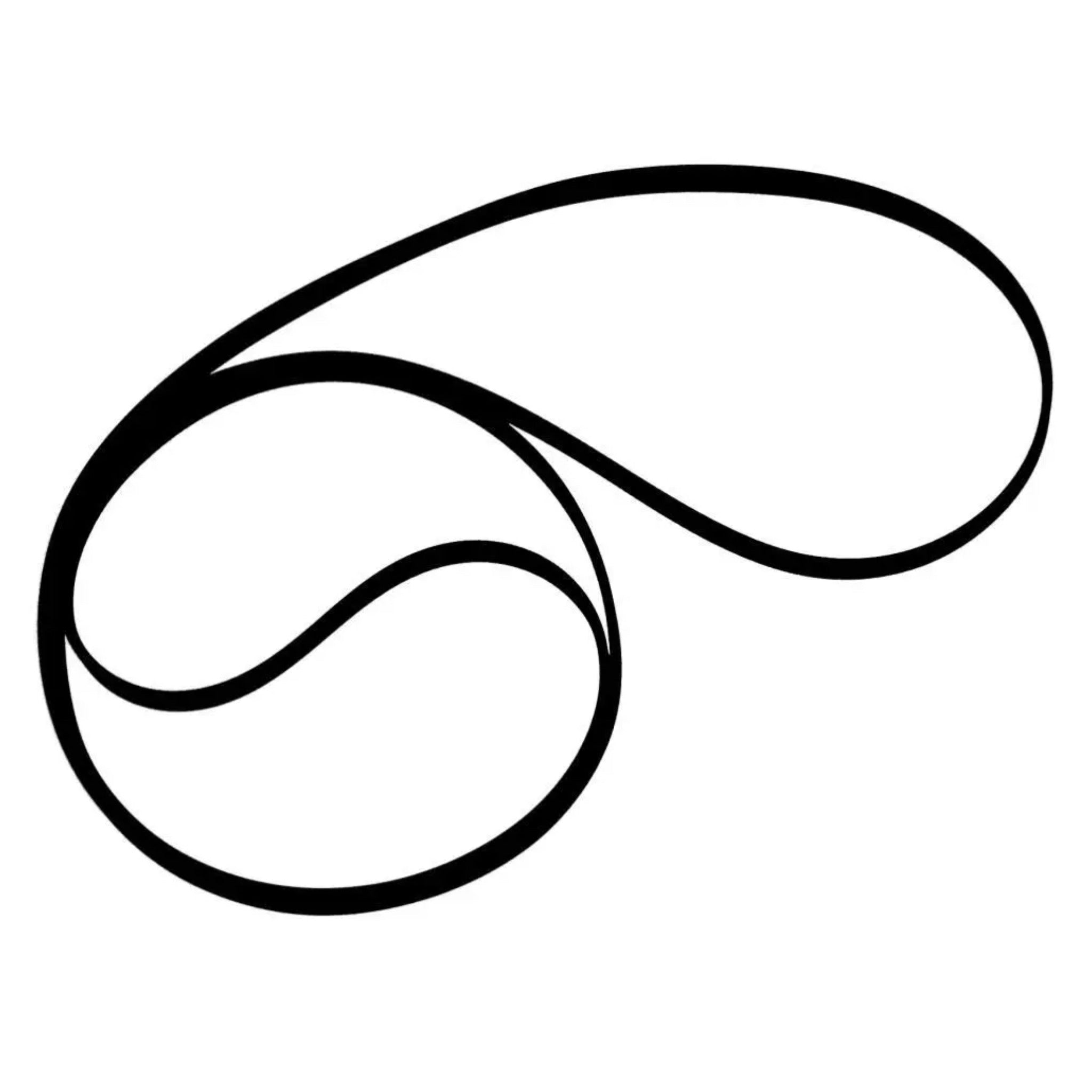 Numark Courroie Belt pour TTUSB - TT1600